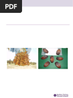 Haskap Pollination and Ripening Guide | PDF | Flowers | Pollination
