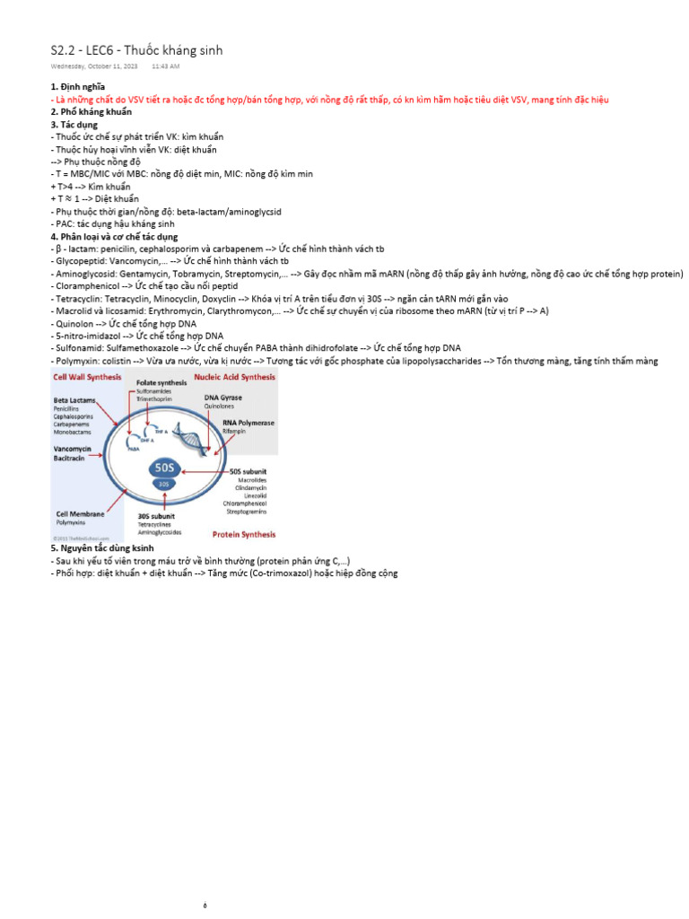 LEC6 - Thuốc kháng sinh | PDF