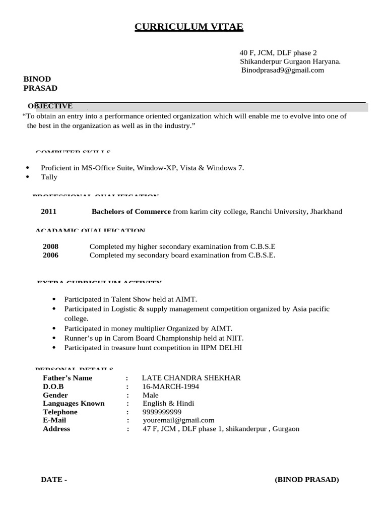 Binod Prasad's Professional CV | PDF