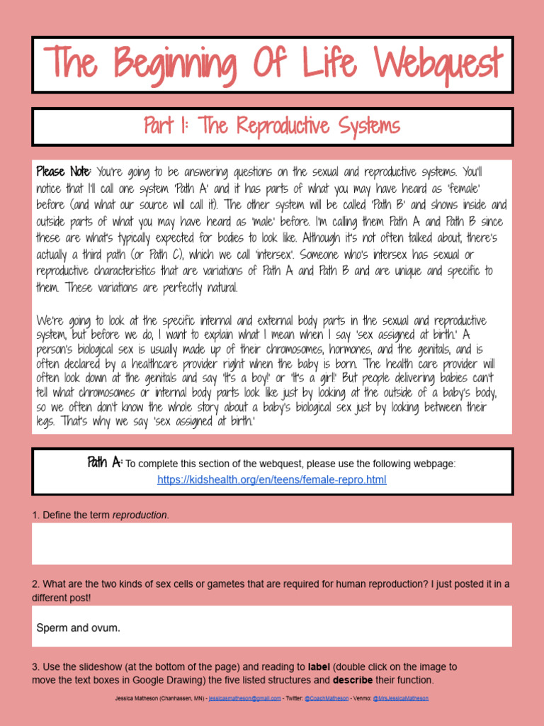 The Beginning of Life Webquest DIGITAL | PDF | Human Reproduction ...
