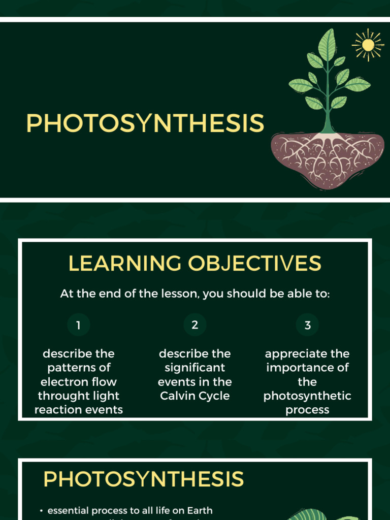 BIOL Q2 Lesson4 Light Reactions and Calvin Cycle | PDF | Photosynthesis ...