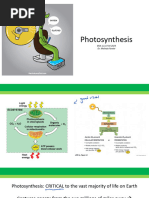 BioMan Biology | PDF | Photosynthesis | Biotechnology