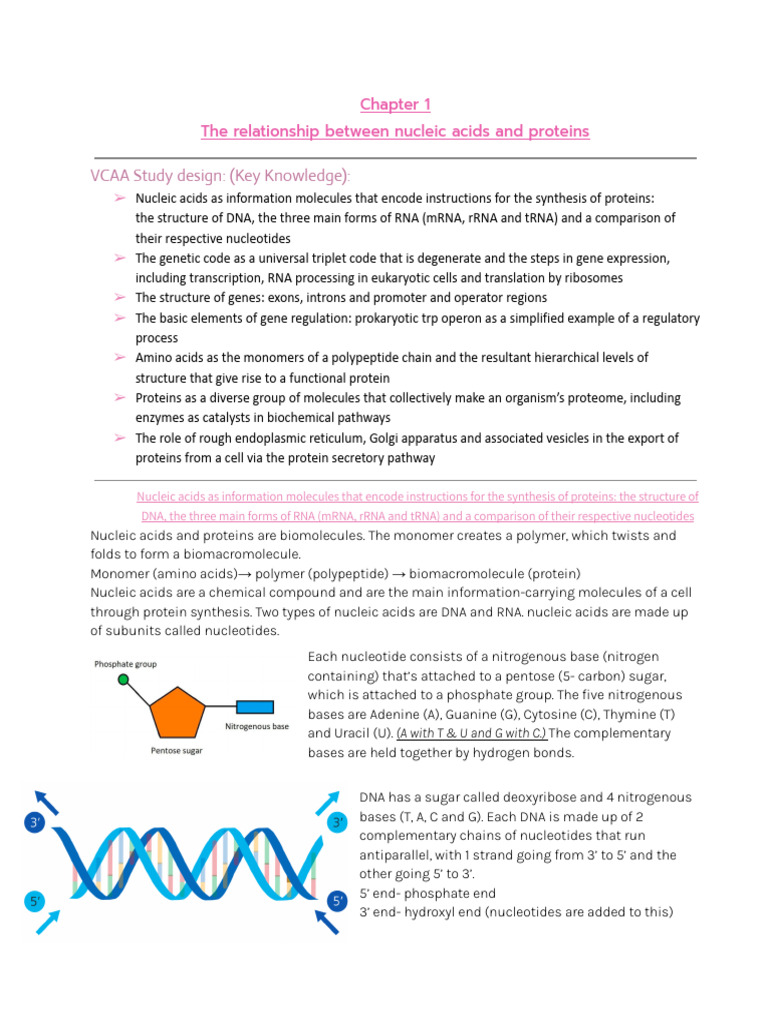 Bio unit 3 AOS 1 | PDF | Operon | Translation (Biology)