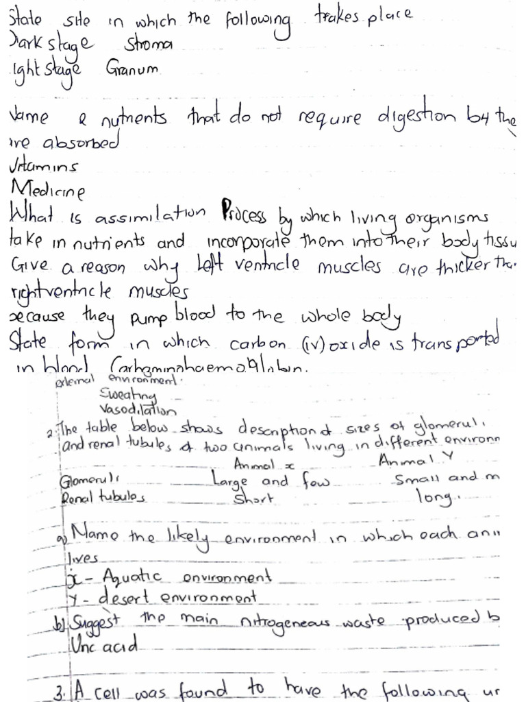 Bio Questions and Answers | PDF