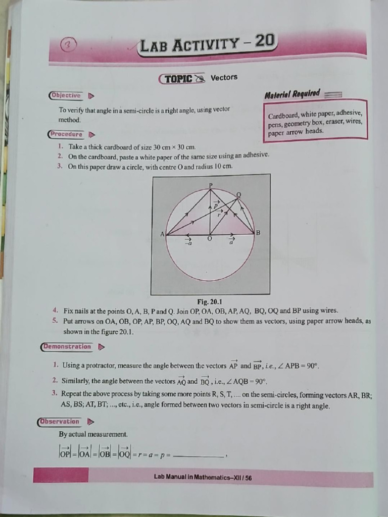 Maths Activity 7 | PDF | Euclidean Vector | Angle