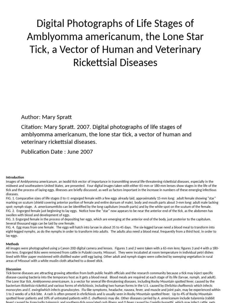 Digital Photographs of Life Stages of Amblyomma Americanum the Lone ...