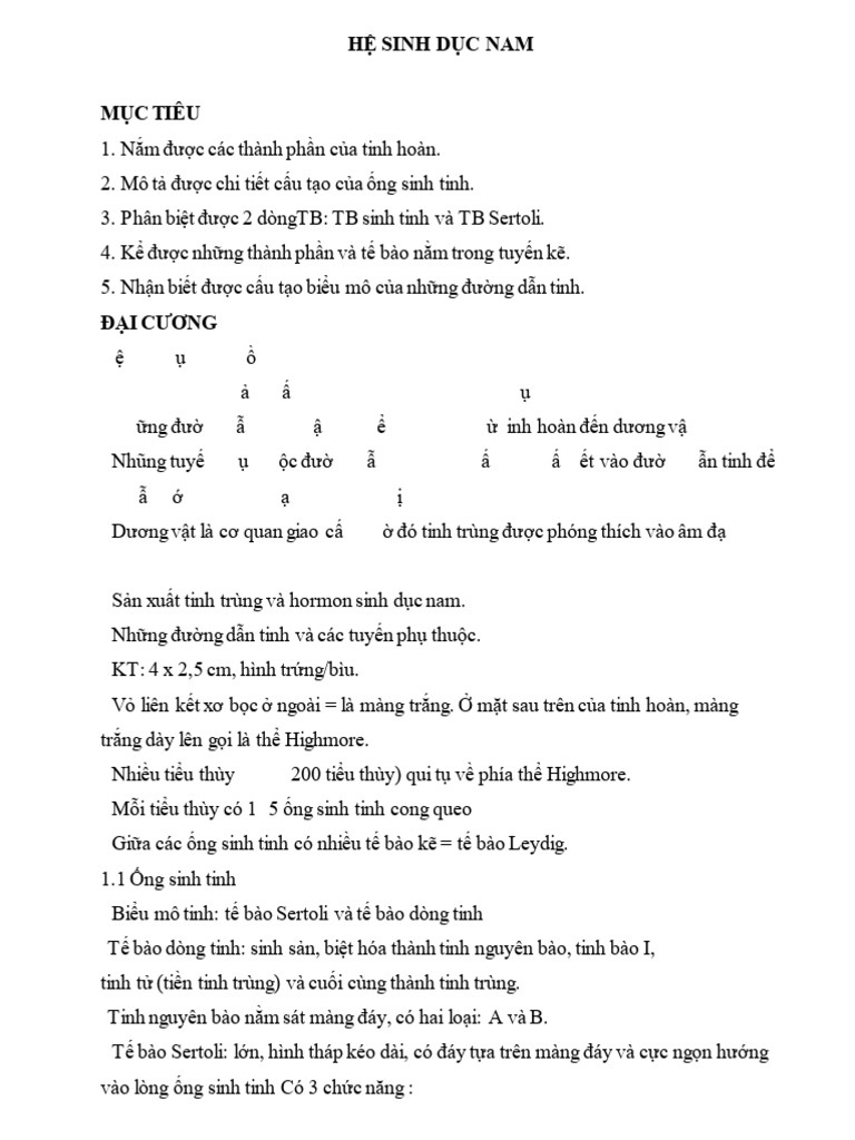 Mo He Sinh Duc Nam | PDF