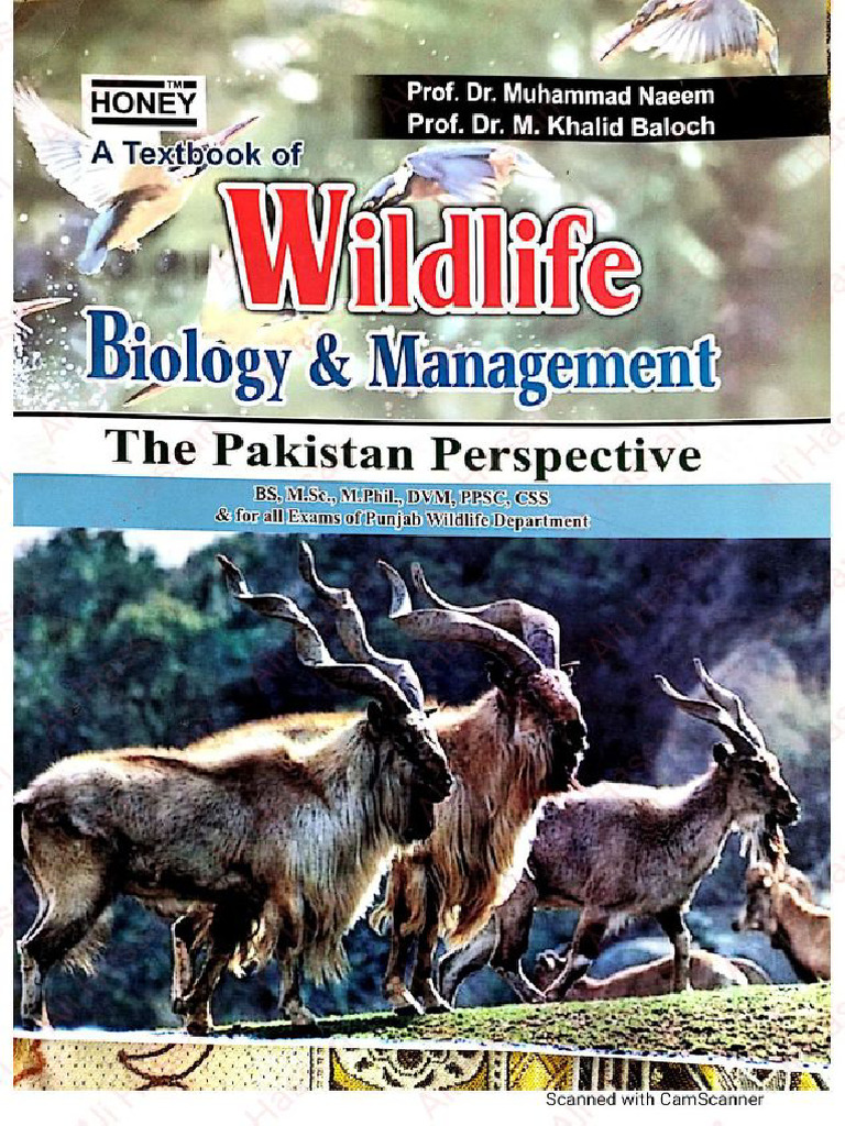 Wildlife 1 Honey | PDF