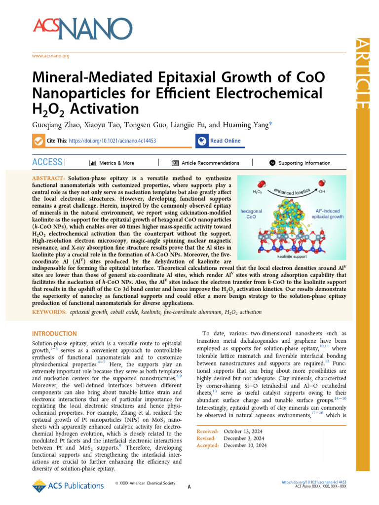 zhao-et-al-2024-mineral-mediated-epitaxial-growth-of-coo-nanoparticles-for-efficient ...