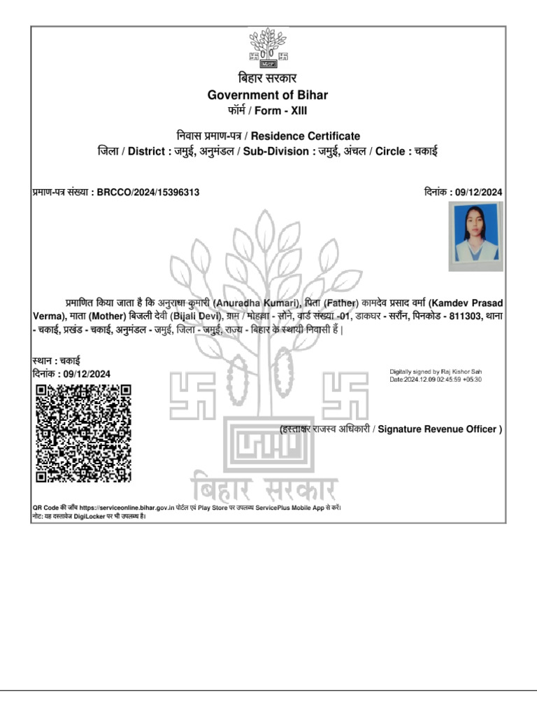 Brcco 2024 15396313 | PDF