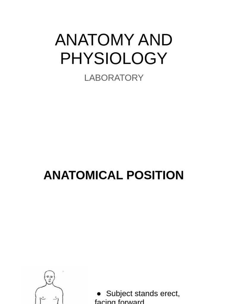Anatomy & Physiology Lab Guide | PDF | Anatomical Terms Of Location ...