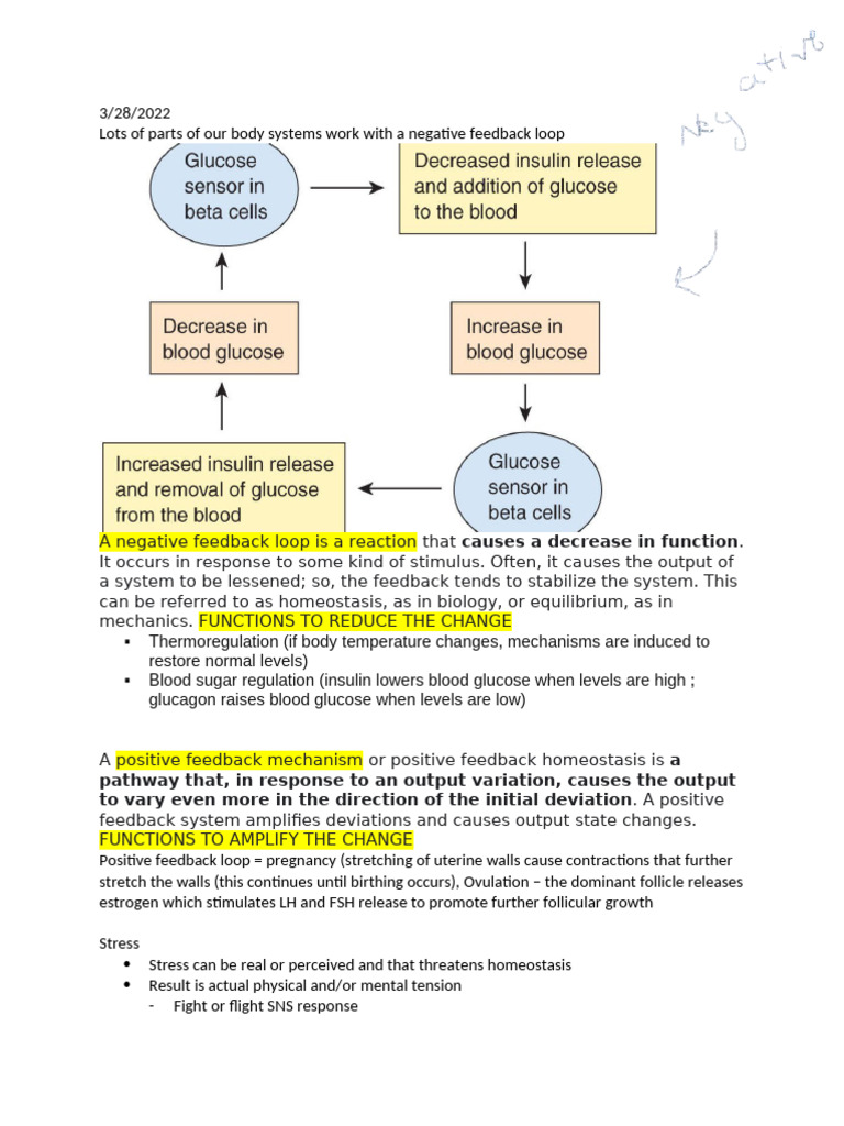 Patho Notes 1 | PDF | Immune System | Adaptive Immune System