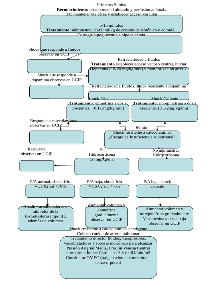 Algoritmo Sepsis Neonatal | PDF | Sistema endocrino | Enfermedades y trastornos