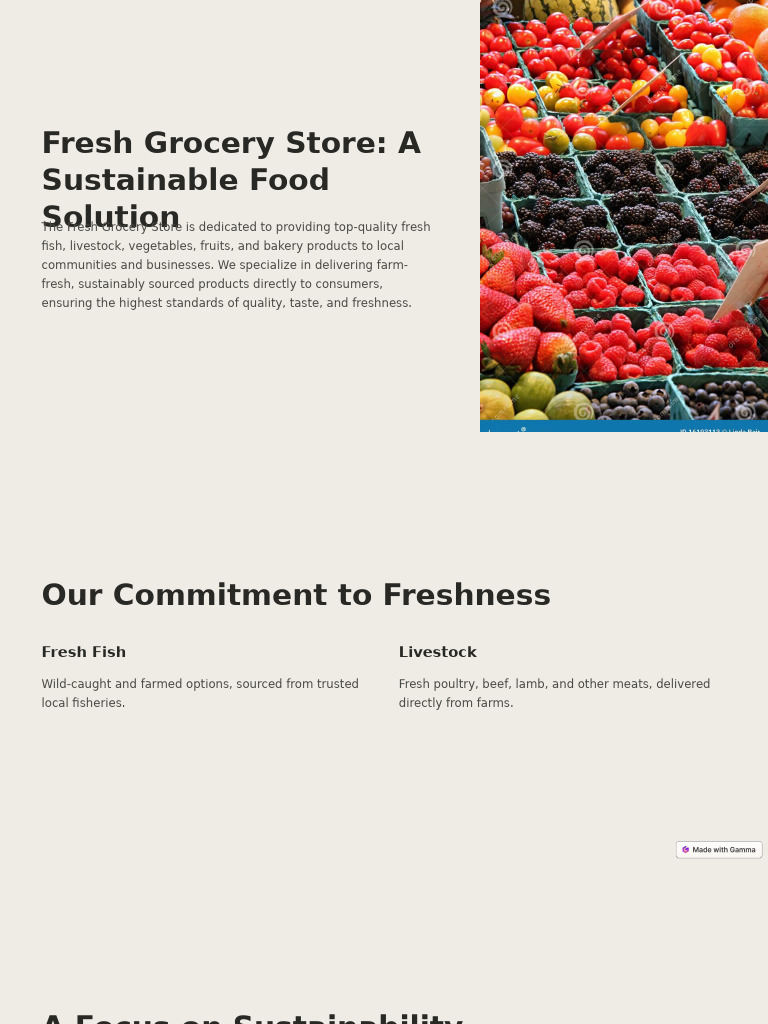 Fresh Grocery Store a Sustainable Food Solution | PDF | Meat | Livestock
