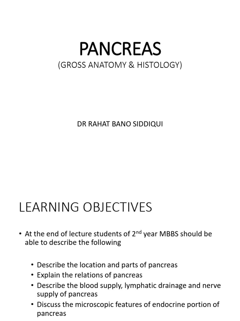 3. Pancreas (Gross Histology) | PDF | Pancreas | Endocrine System