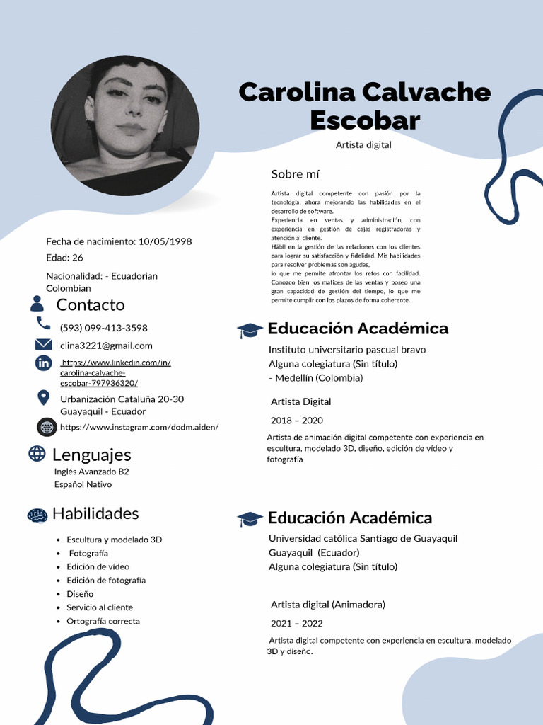 Curriculum Vitae Español | PDF