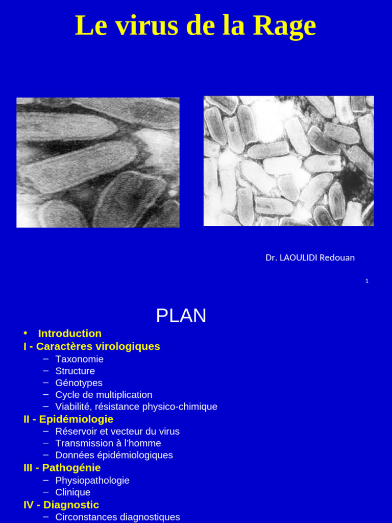 Le_virus_de_la_Rage | PDF | Rage (maladie) | Spécialités médicales