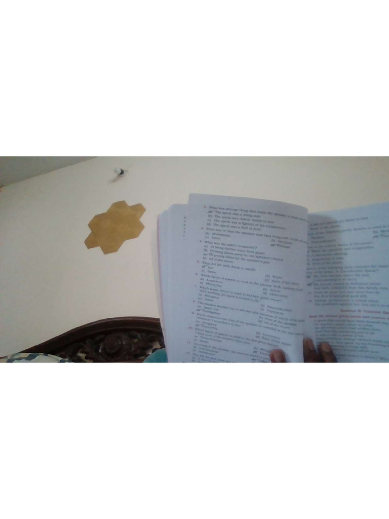 WIN 20241224 13 16 54 Pro | PDF