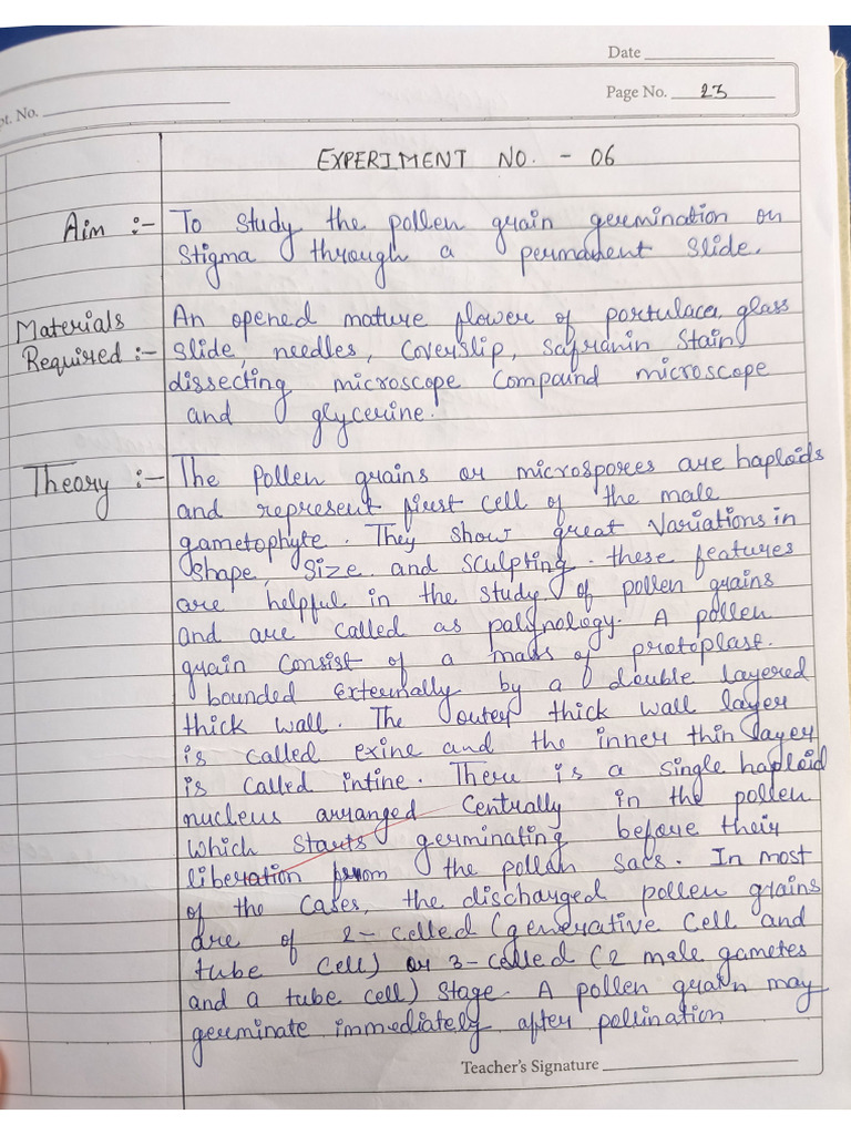 Bio Practicals 2024-25 | PDF