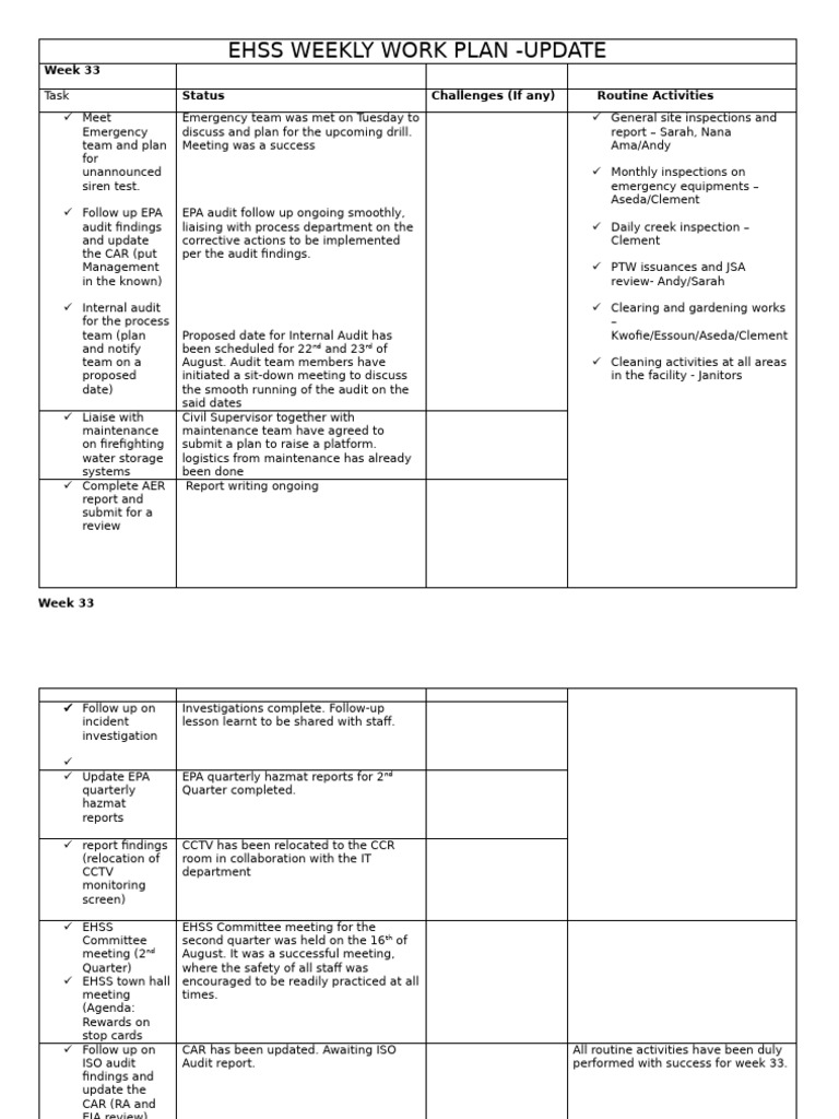 Ehss Weekly Plan-Follow-Up Report | PDF
