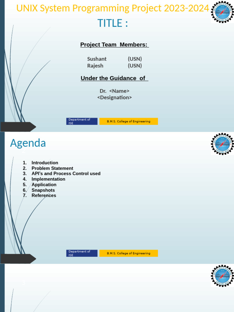 USP Project Presentation | PDF