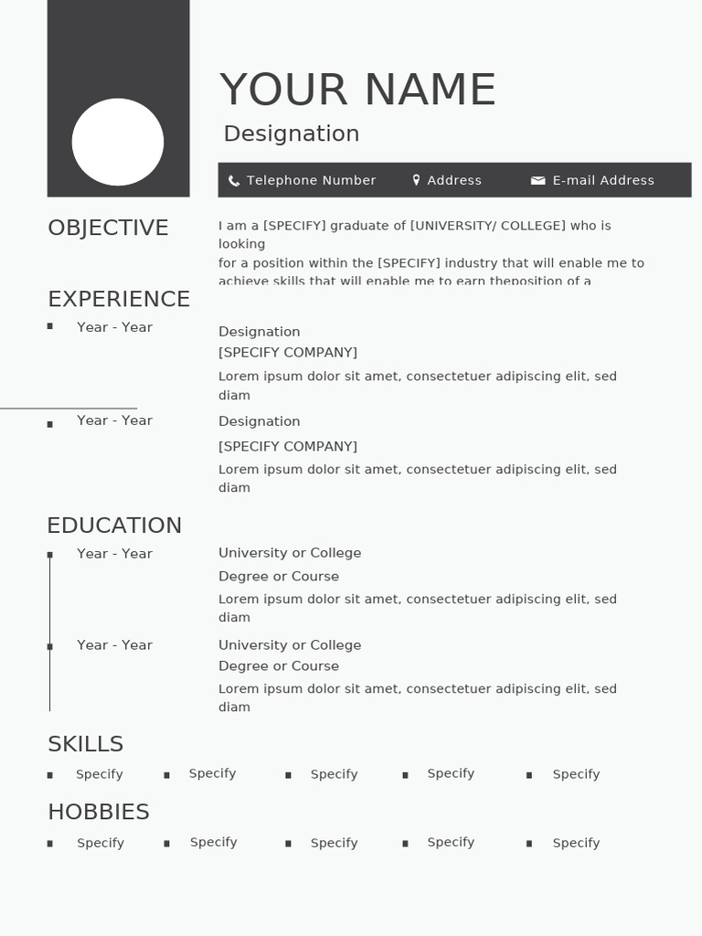 Blank Resume | PDF