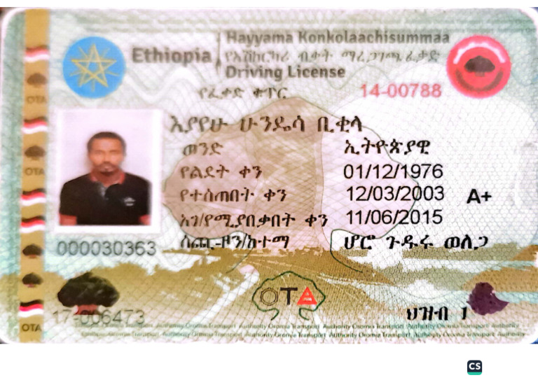 My Driving Licence | PDF