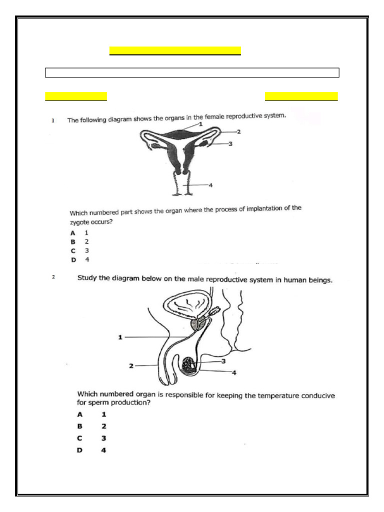 Integrated Science Questions (Ecz) | PDF