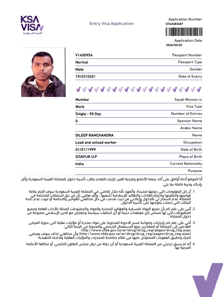 Dileep Visa Platform | PDF