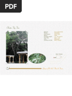 Endemic Trees of the Philippines | PDF | Ficus | Botany