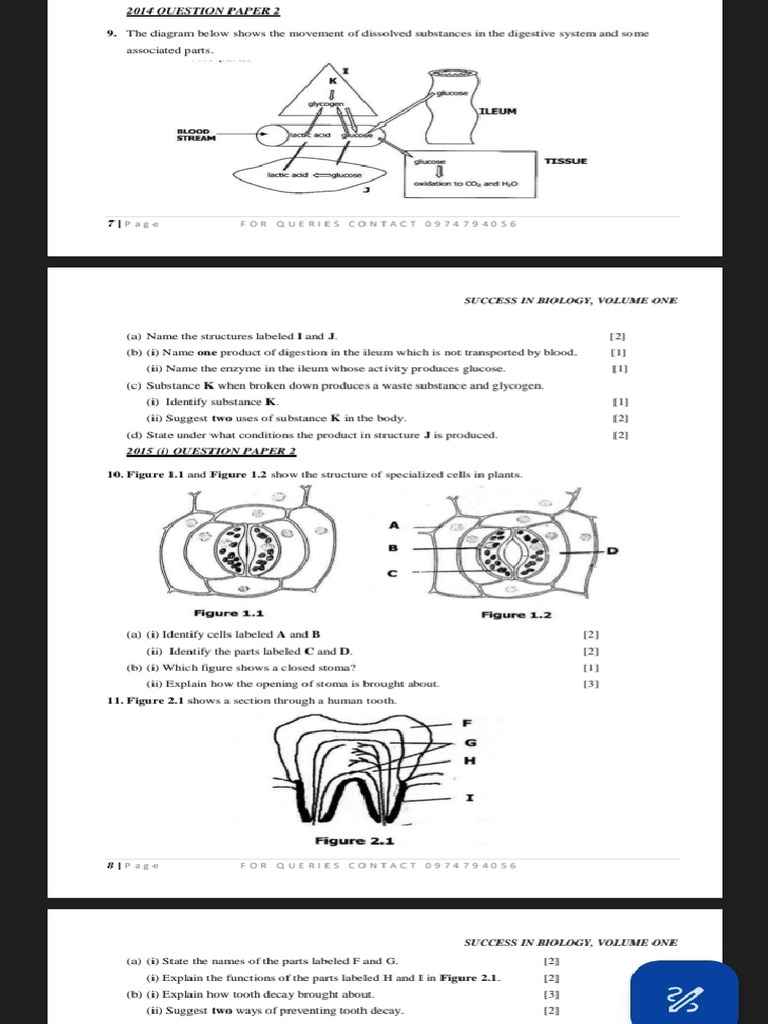 Biology Questions and Answers | PDF