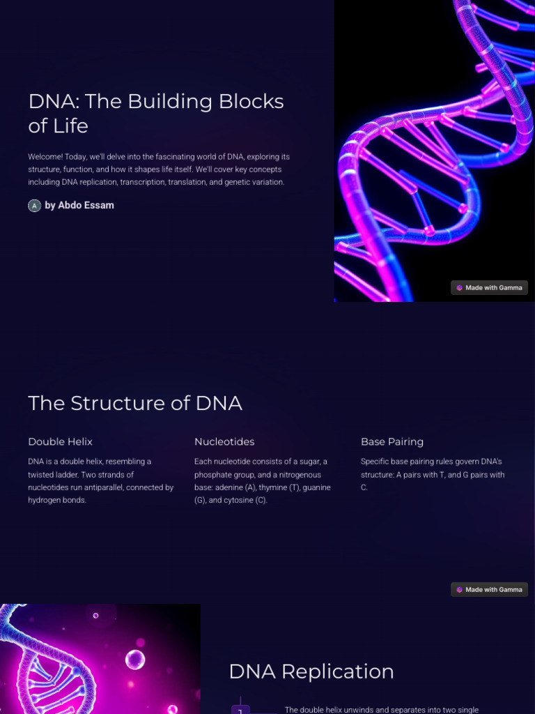 DNA The Building Blocks of Life | PDF | Dna | Rna