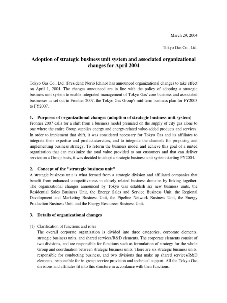 Sbu Case Study | PDF | Sales | Strategic Planning