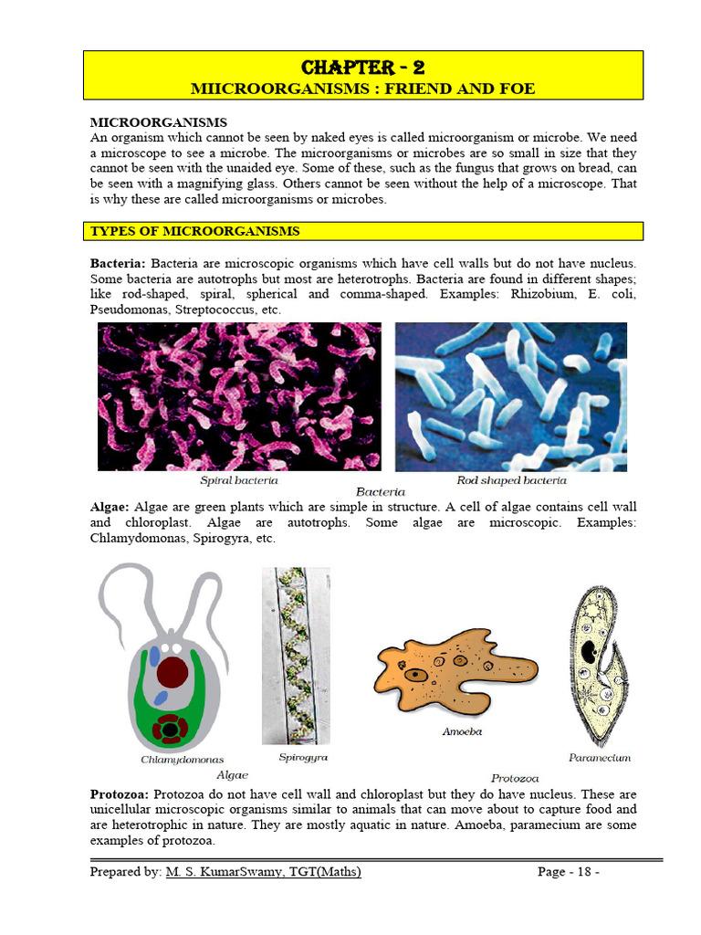 Science Class Viii Chapter 02 Study Material | PDF | Food Preservation | Microorganism