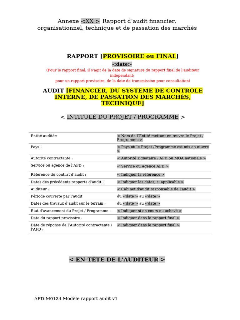 Rapport d'Audit Financier et Technique | PDF | Audit | Économie d ...
