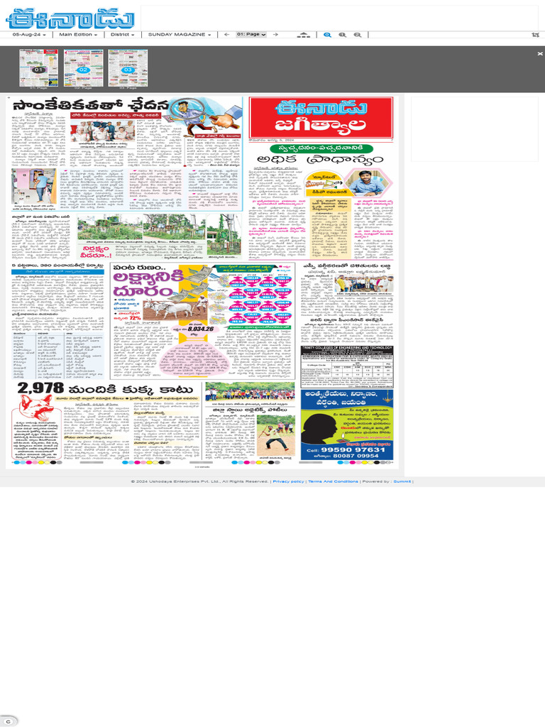 Epaper Eenadu | PDF
