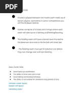 Essential Cricket Rules Overview | PDF | Bowling (Cricket) | Cricket