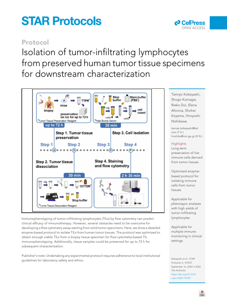 Isolating Tumor-Infiltrating Lymphocytes Protocol | PDF | Biopsy | Flow ...