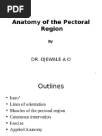 Chest Muscles Anatomy Chart | PDF