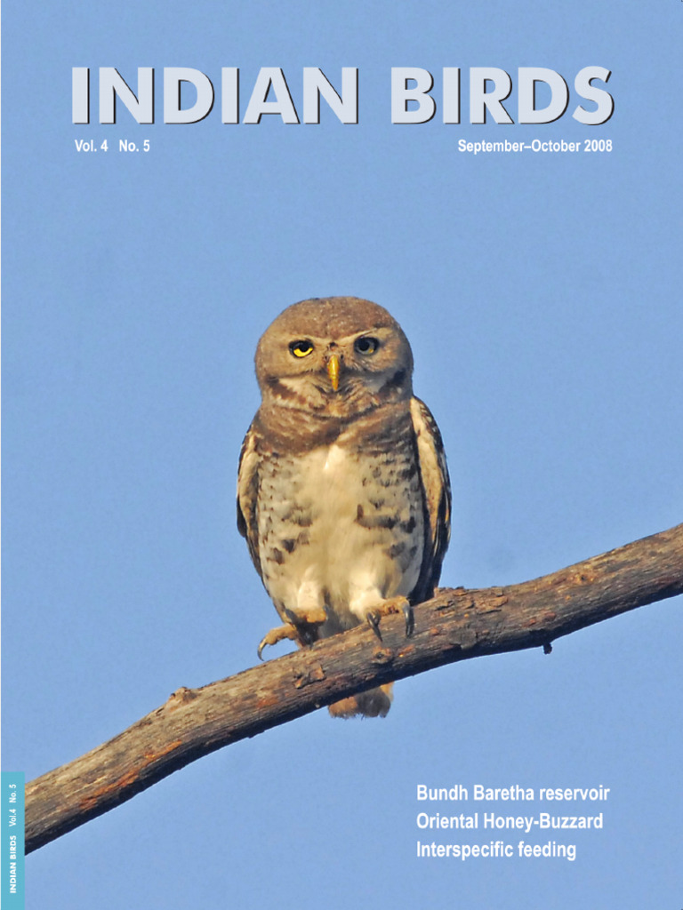 Waterbird Abundance at Bundh Baretha | PDF | Anatidae | Bird Migration