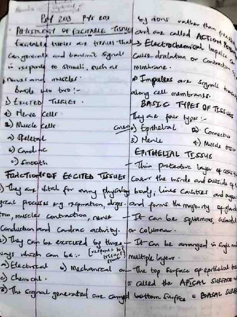 EXCITABLE TISSUES, 1st & 2nd Class. | PDF