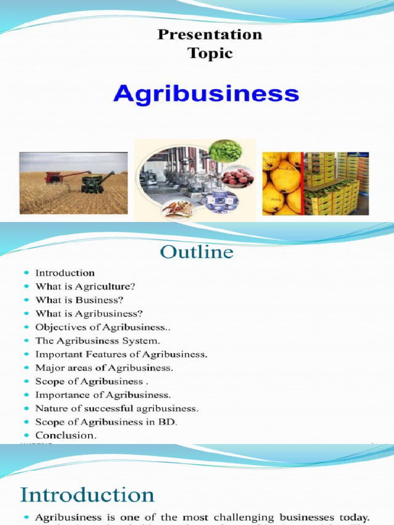 Agribusiness 1 | PDF