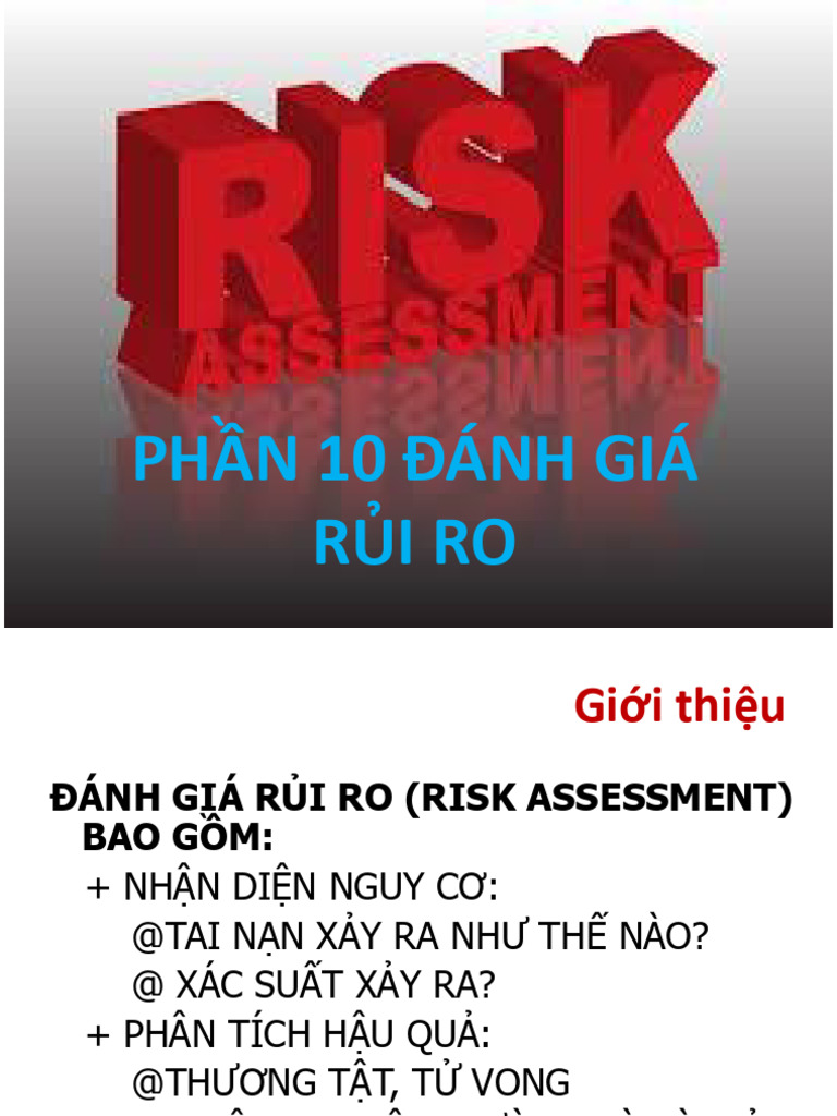 ATQT-10-Danh Gia Rui | PDF