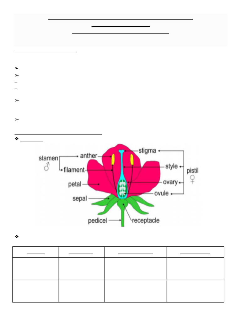 Sexual Reproduction In Flowers | PDF | Flowers | Sexual Reproduction Sexual Reproduction In Flowers | PDF | Flowers | Sexual Reproduction