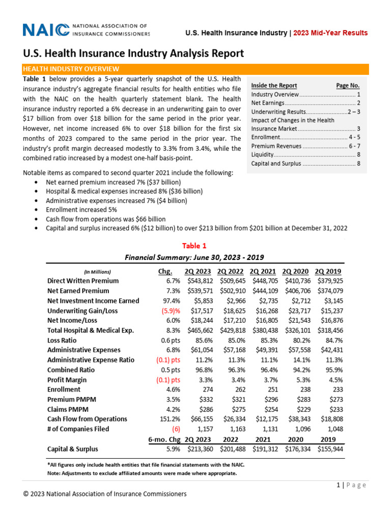 US Industry Analysis Report 2023 Health Mid Year | PDF | Medicaid ...