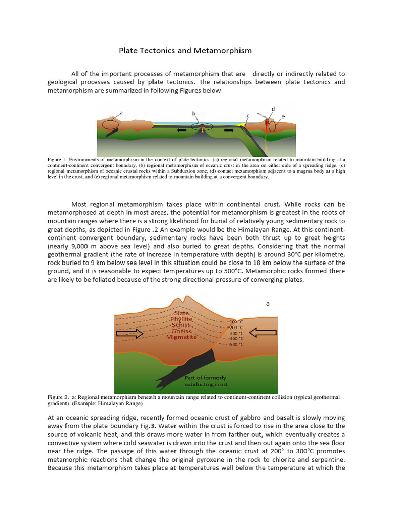 metamorphism and plate tectonics | PDF | Rock (Geology) | Plate Tectonics