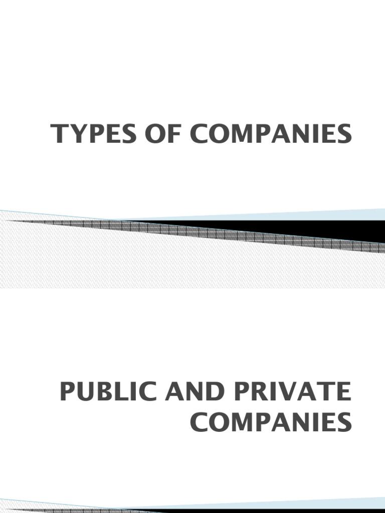 2types of Companies | PDF | Guarantee | Companies
