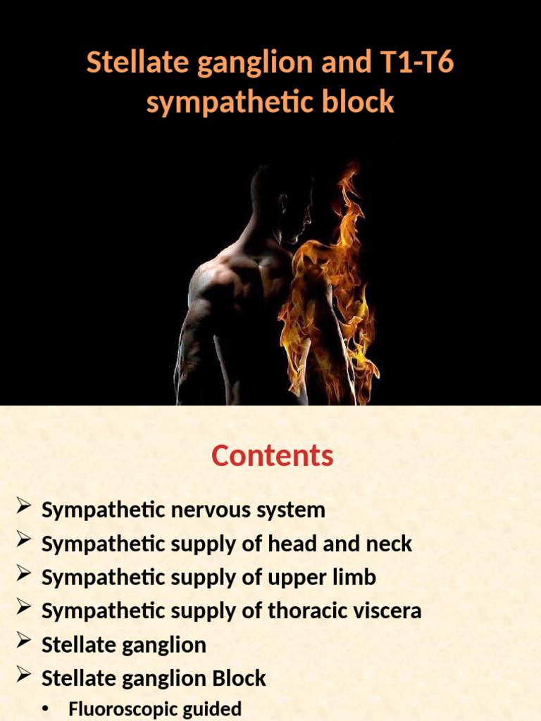 Stellate Ganglion and T1-T6 Sympathetic Block | PDF | Nervous System ...