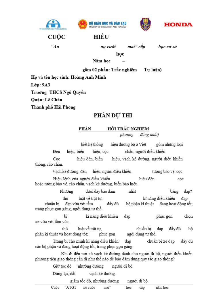 Hoang Anh Minh Lop 9A3 | PDF