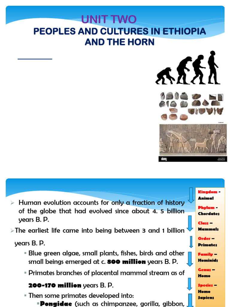 UNIT 2 HIST 1012 PP | PDF | Homo | Human Evolution